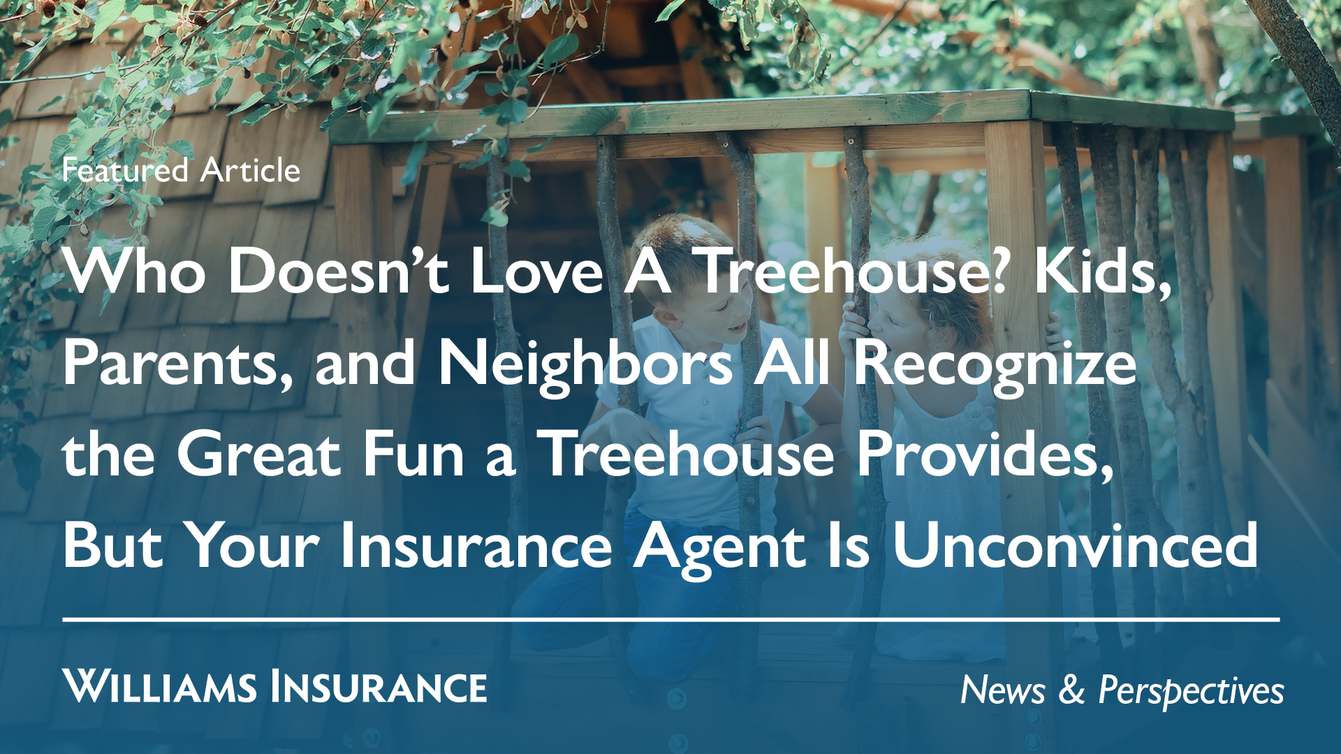 Who Doesn’t Love A Treehouse? Kids, Parents, and Neighbors All ...